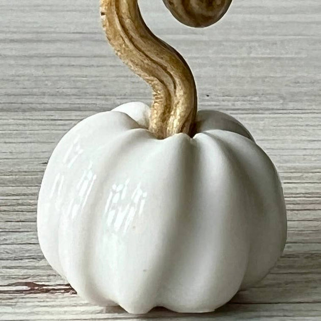 Mini Ceramic Pumpkins – Cattail Cottage